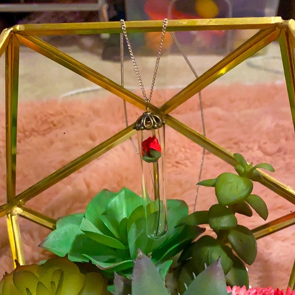 Accessories | Rose Capsules Necklaces | Poshmark